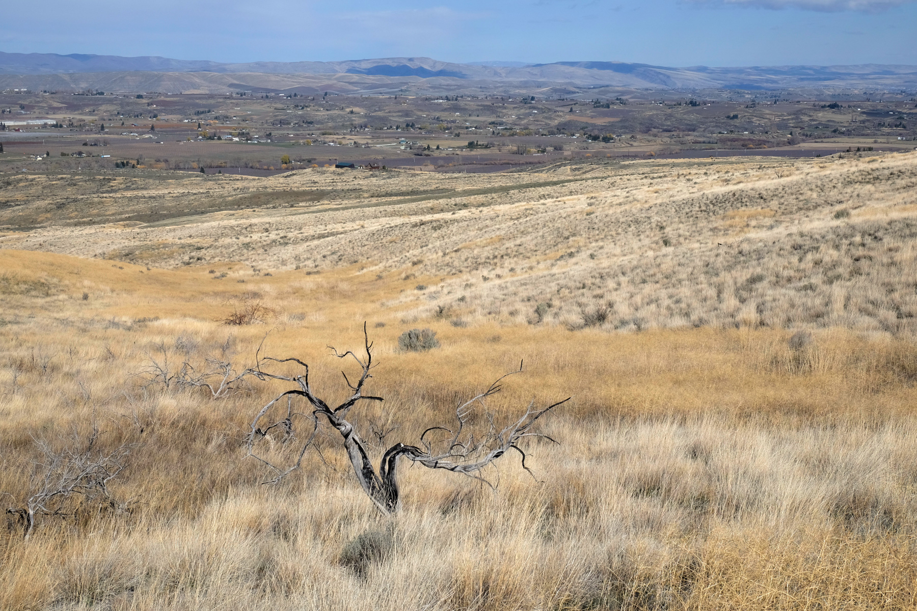 Snow Mountain Ranch and Cowiche Mountain — Washington Trails Association