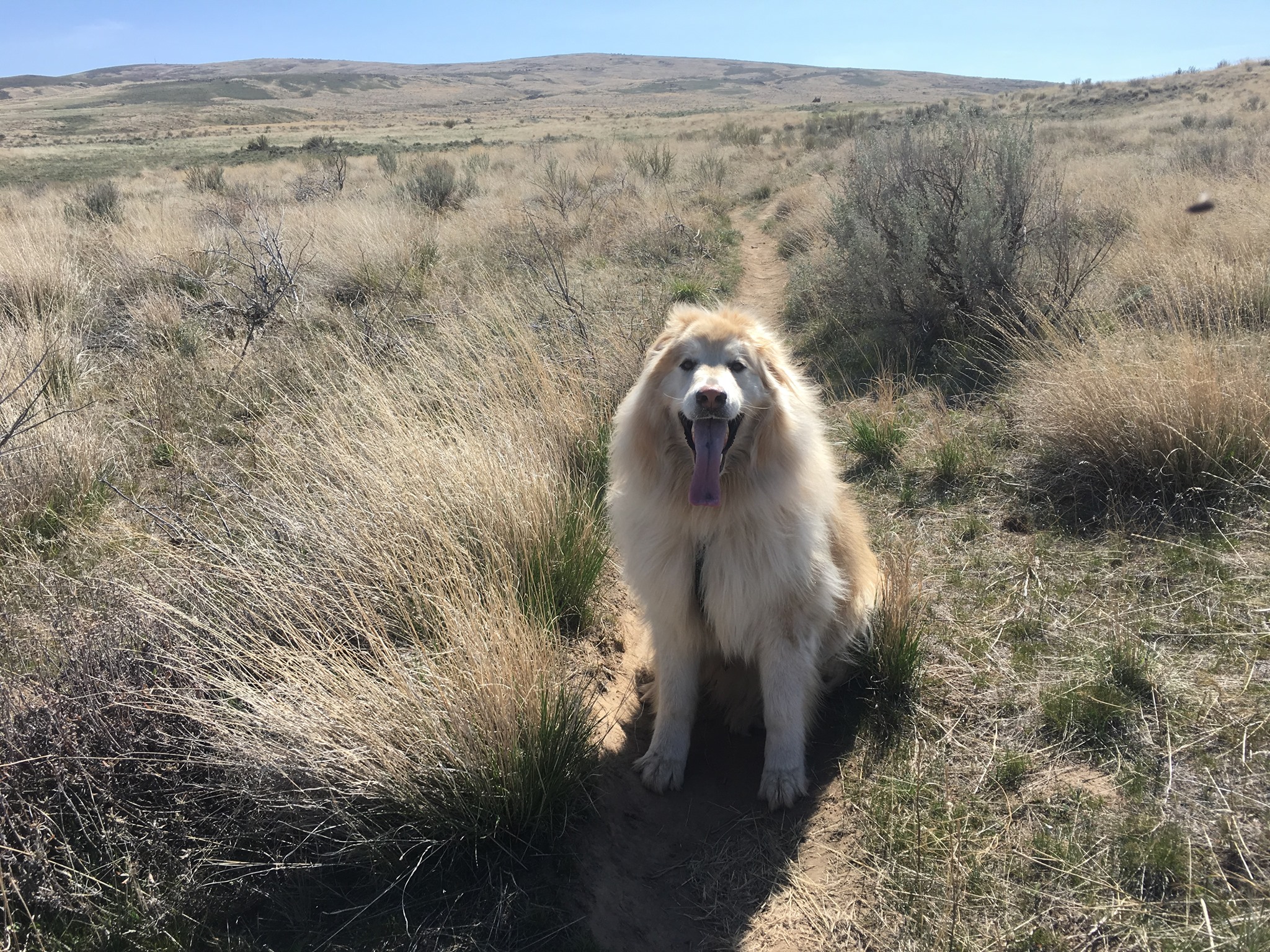 Snow Mountain Ranch and Cowiche Mountain — Washington Trails Association