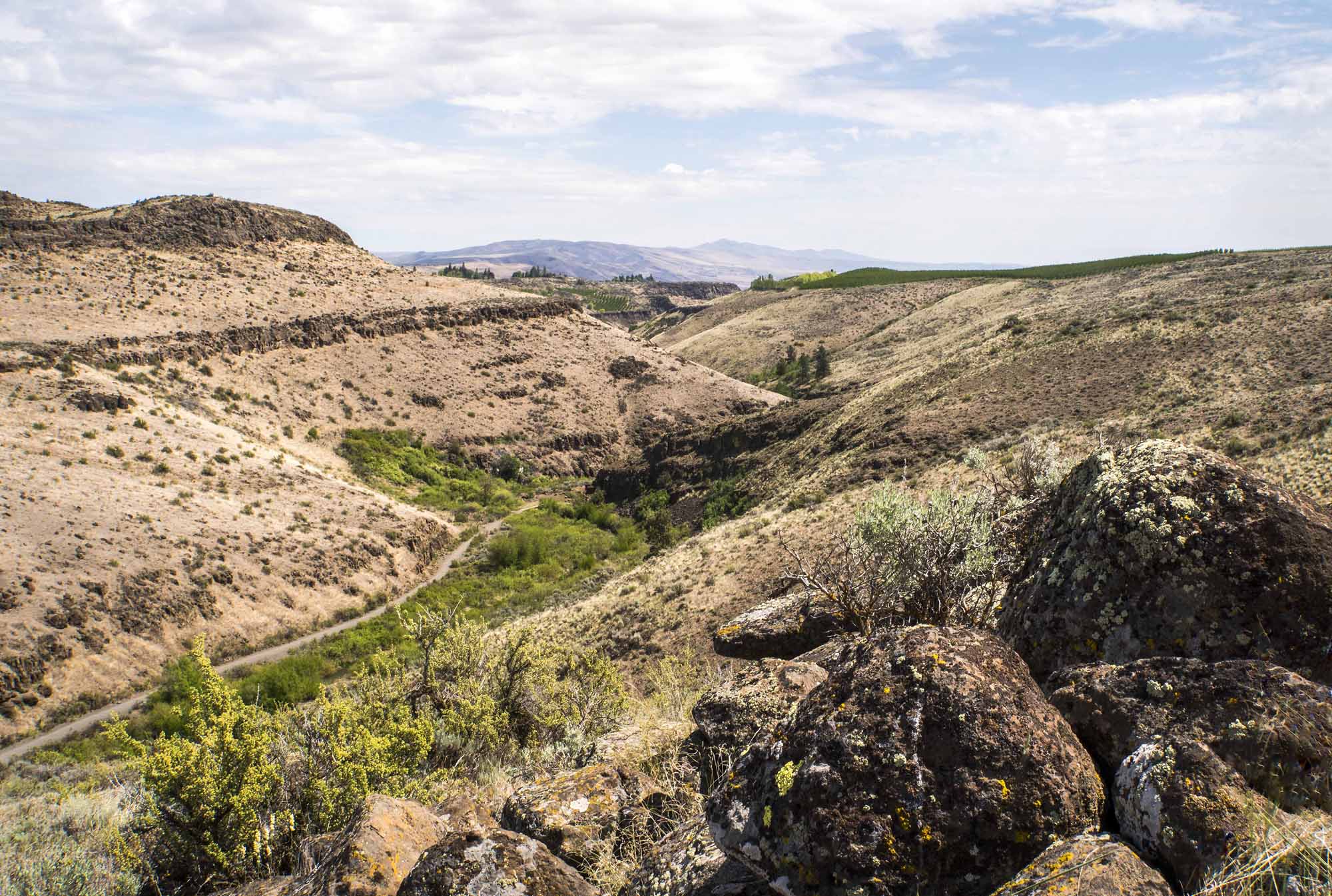 Cowiche Canyon Preserve — Washington Trails Association