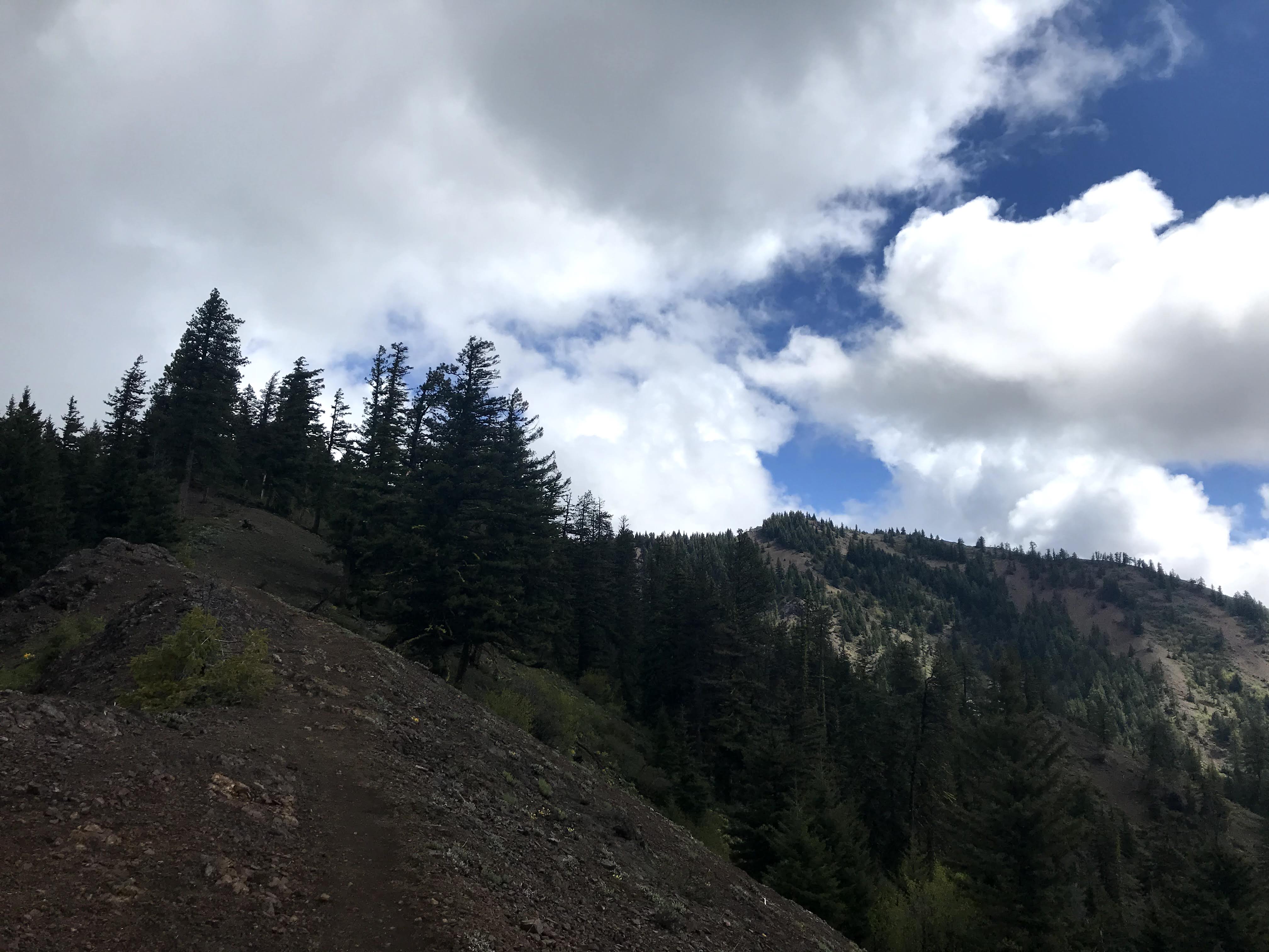 Iron Bear - Teanaway Ridge — Washington Trails Association