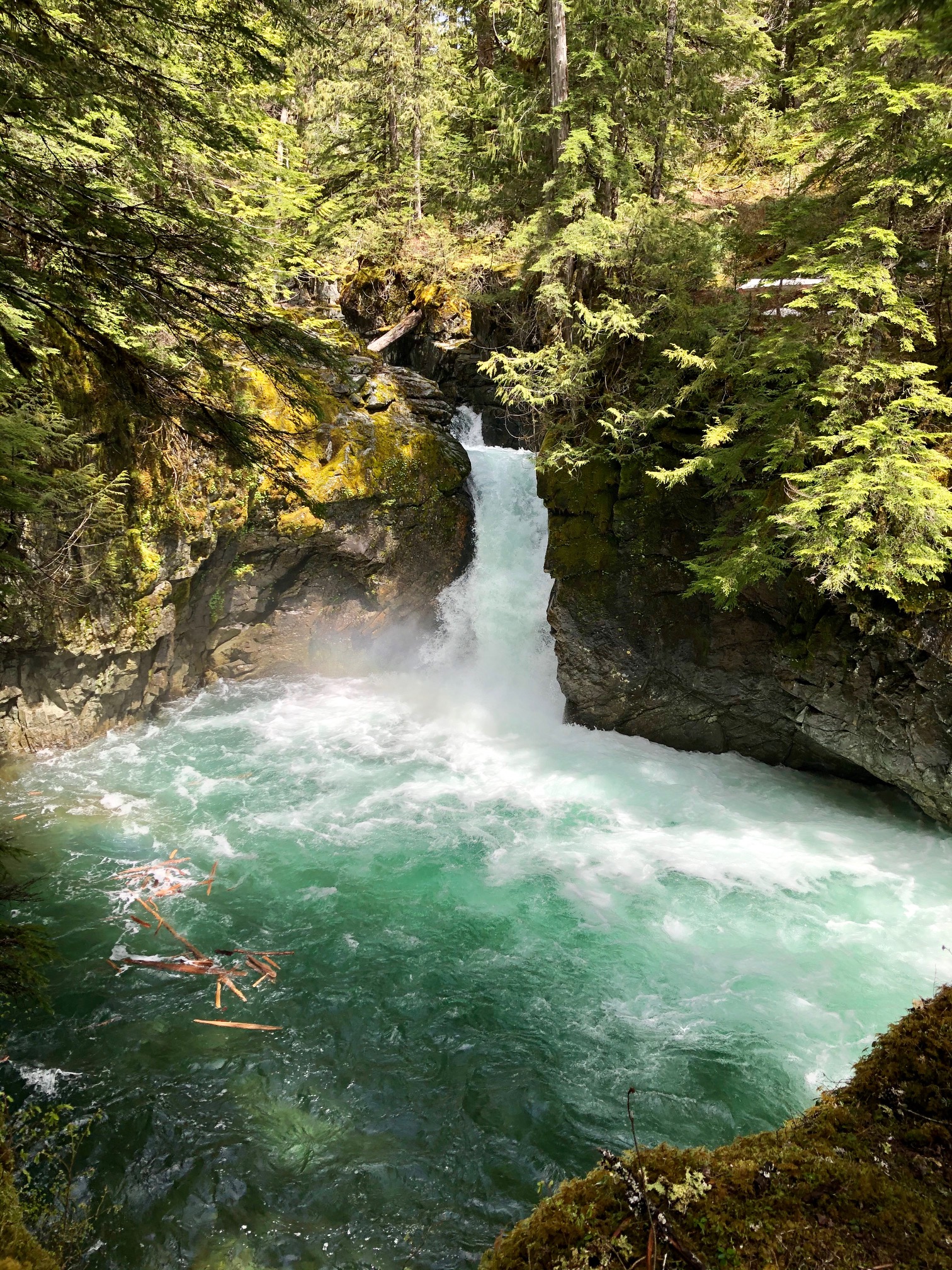 Silver Falls Loop, Grove of the Patriarchs Loop, Eastside Trail ...