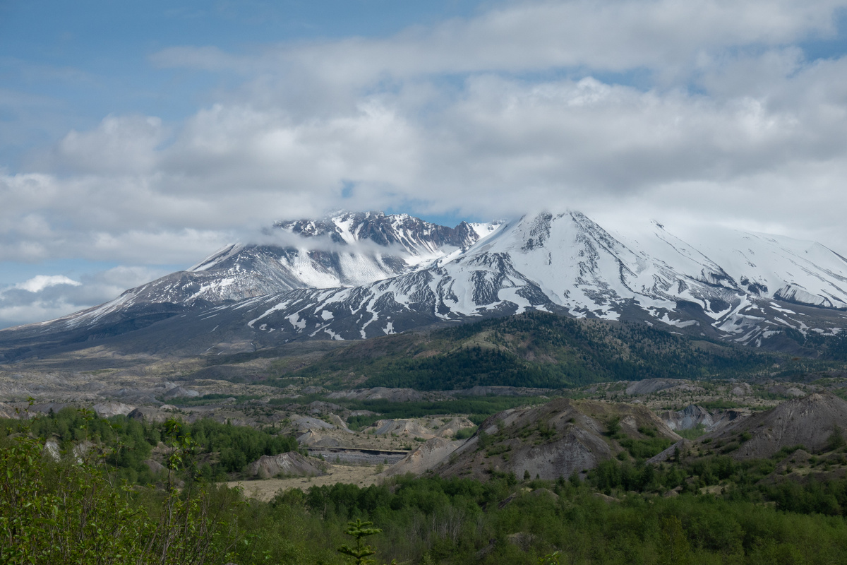 Hummocks Trail, Boundary Trail, Hummocks Loop — Washington Trails ...