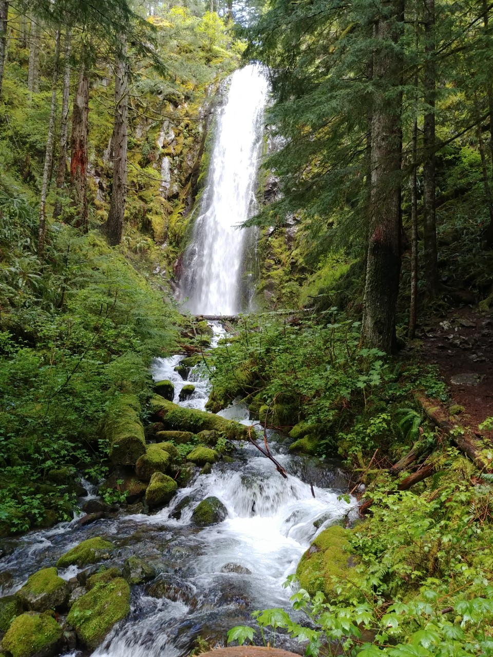 Tarbell Trail — Washington Trails Association