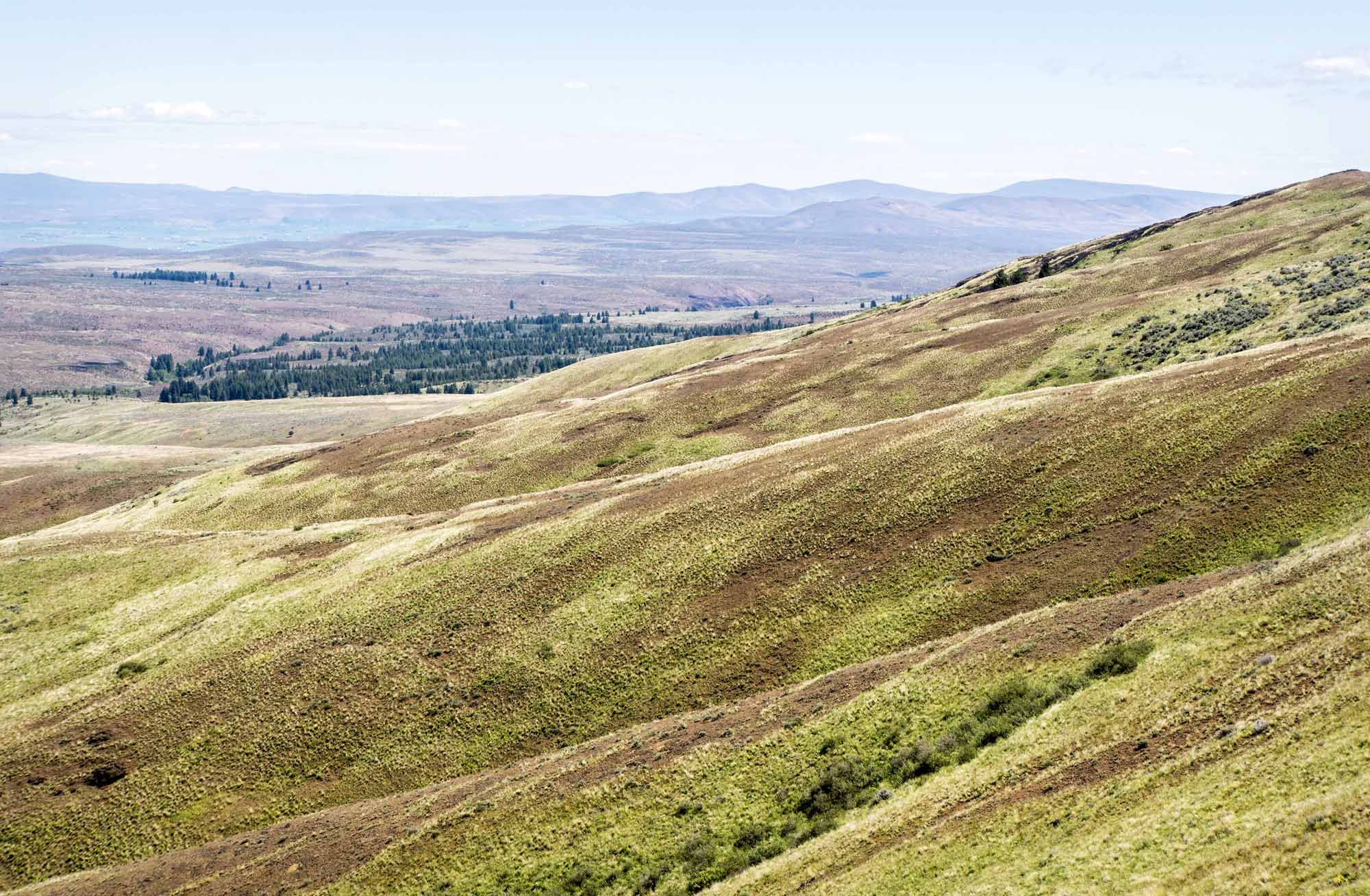 Umtanum Ridge Crest — Washington Trails Association