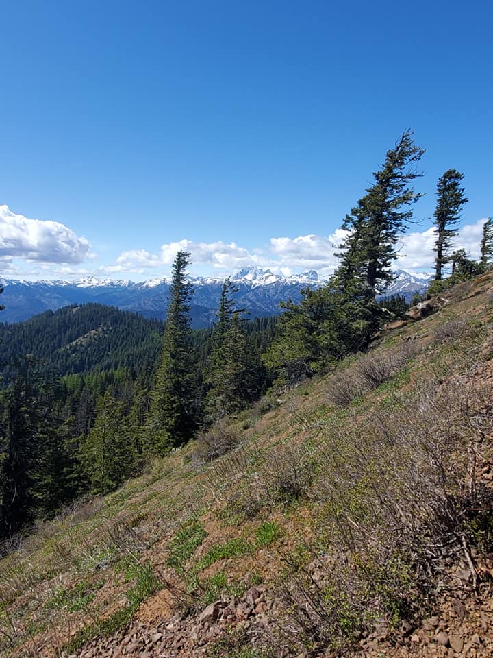 Red Top Lookout — Washington Trails Association