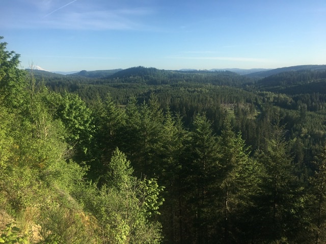 Marckworth Forest — Washington Trails Association