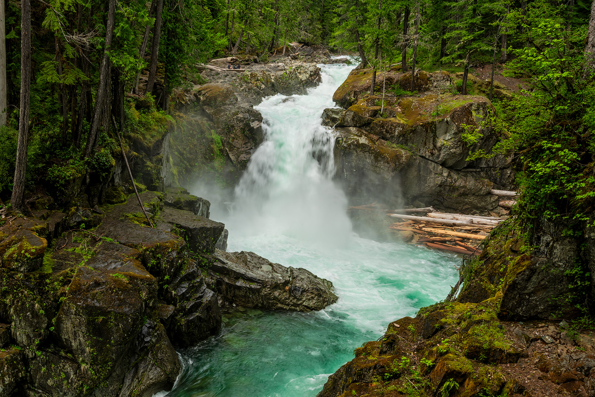 Silver Falls Loop — Washington Trails Association