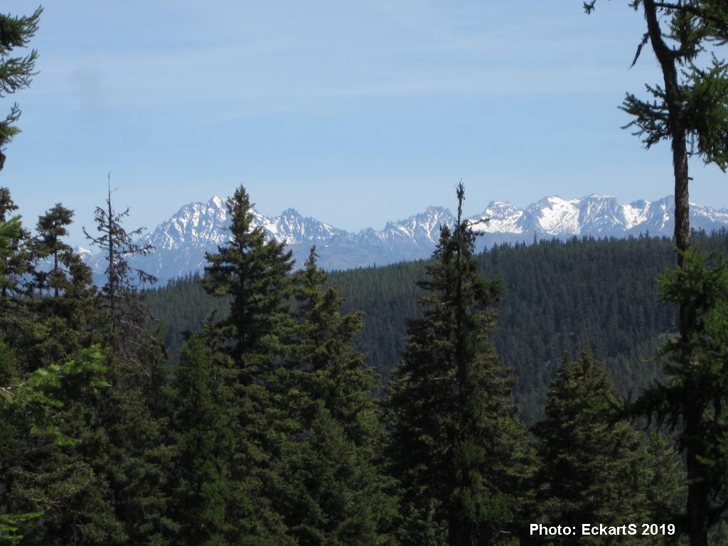 Taneum Ridge — Washington Trails Association