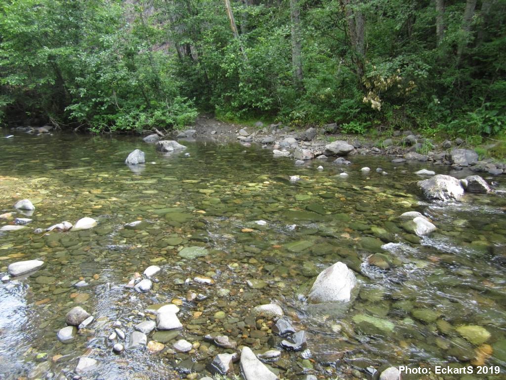 Middle Fork Teanaway River — Washington Trails Association