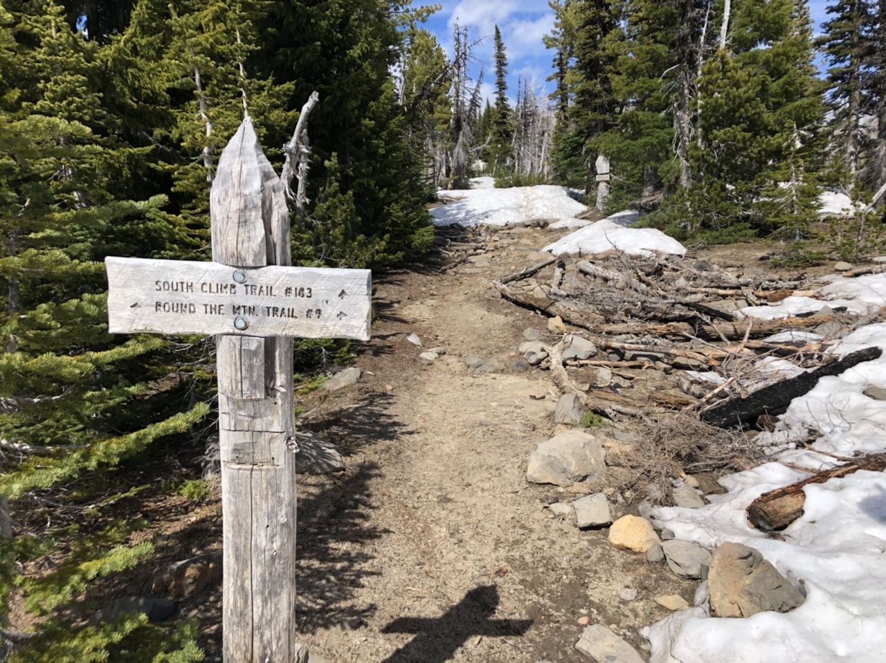 Mount Adams South Climb — Washington Trails Association