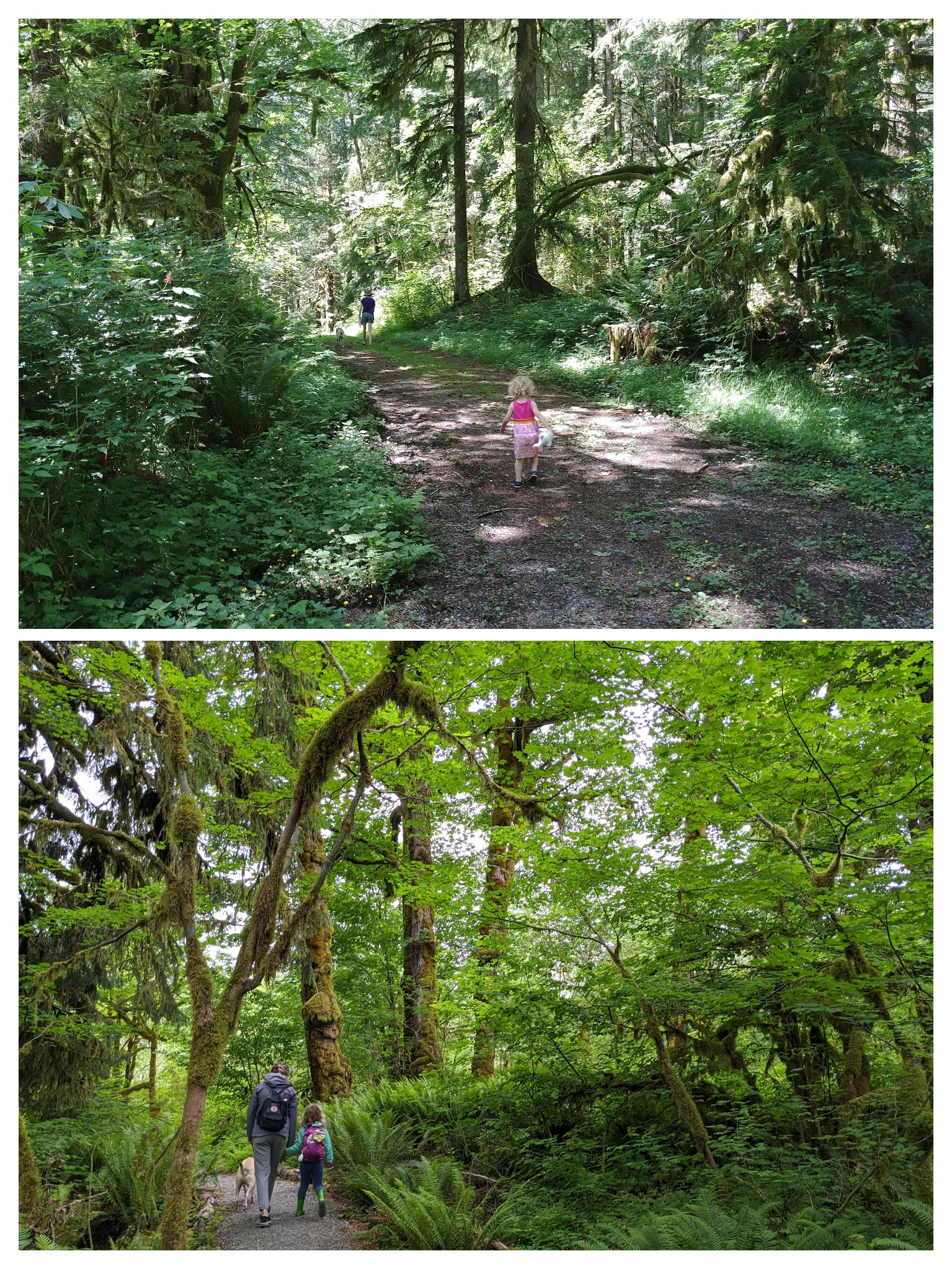 Oxbow Loop Trail — Washington Trails Association