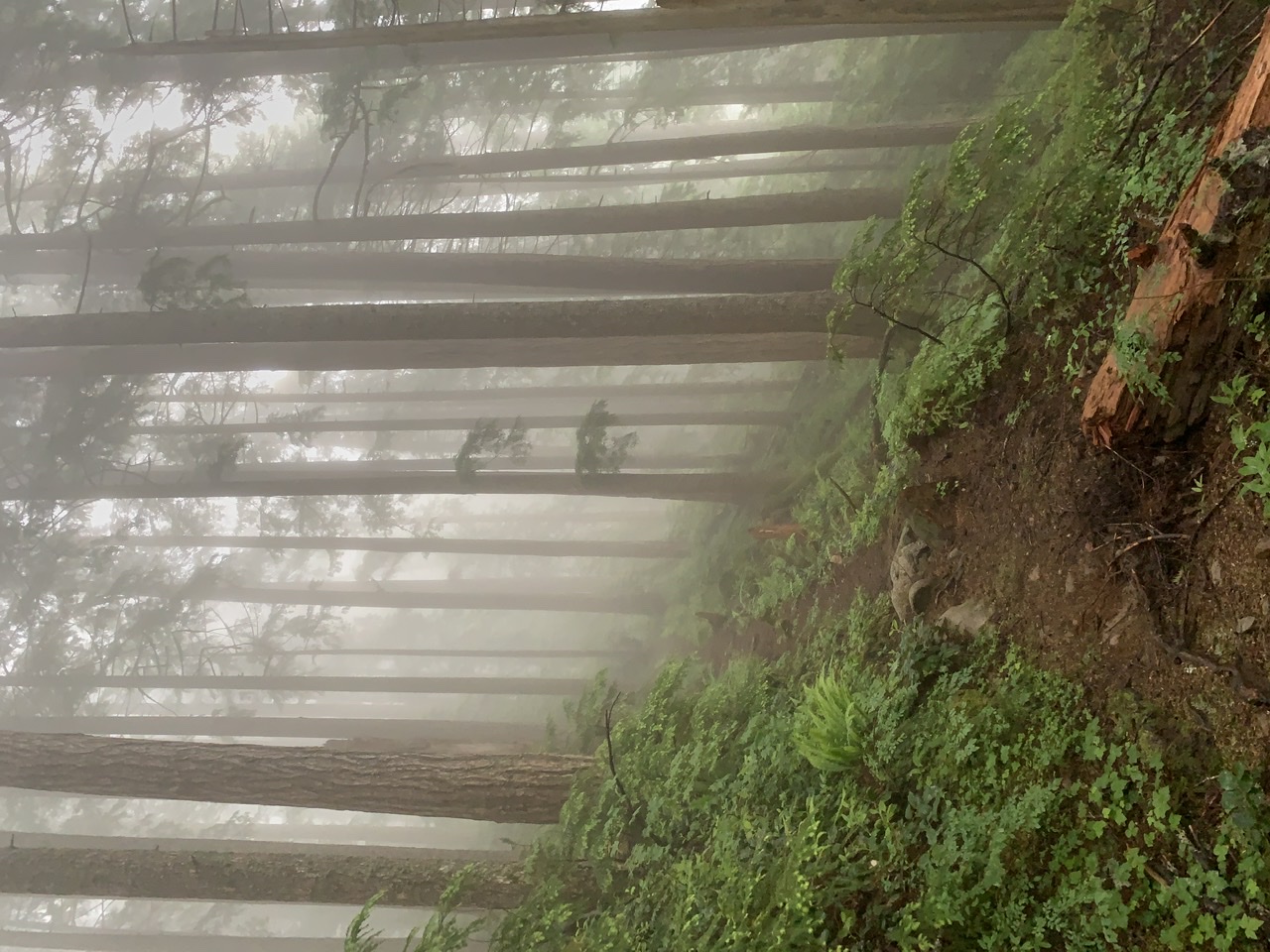Dingford Creek-Hester Lake — Washington Trails Association