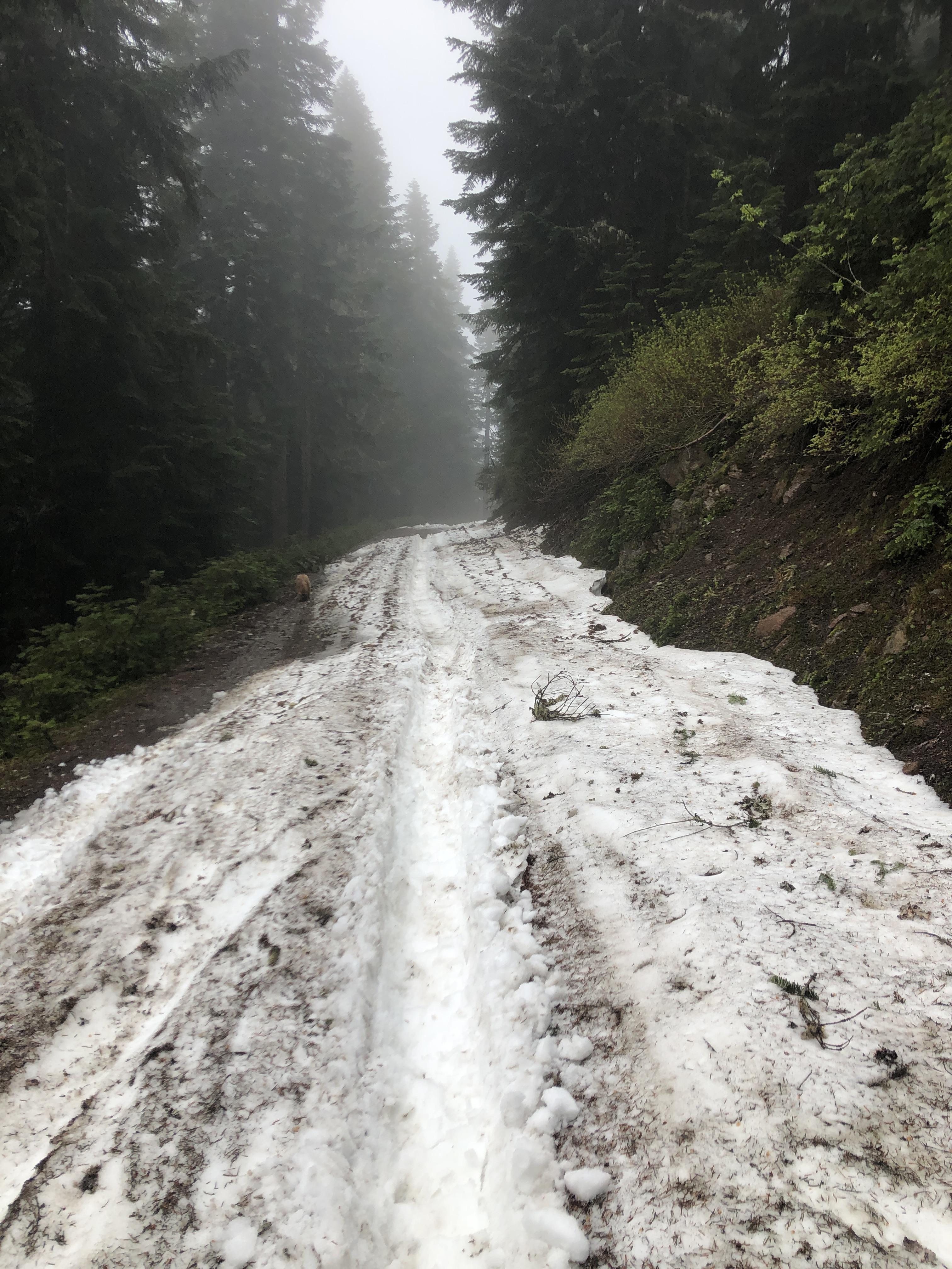 Pyramid Peak, Government Meadows — Washington Trails Association