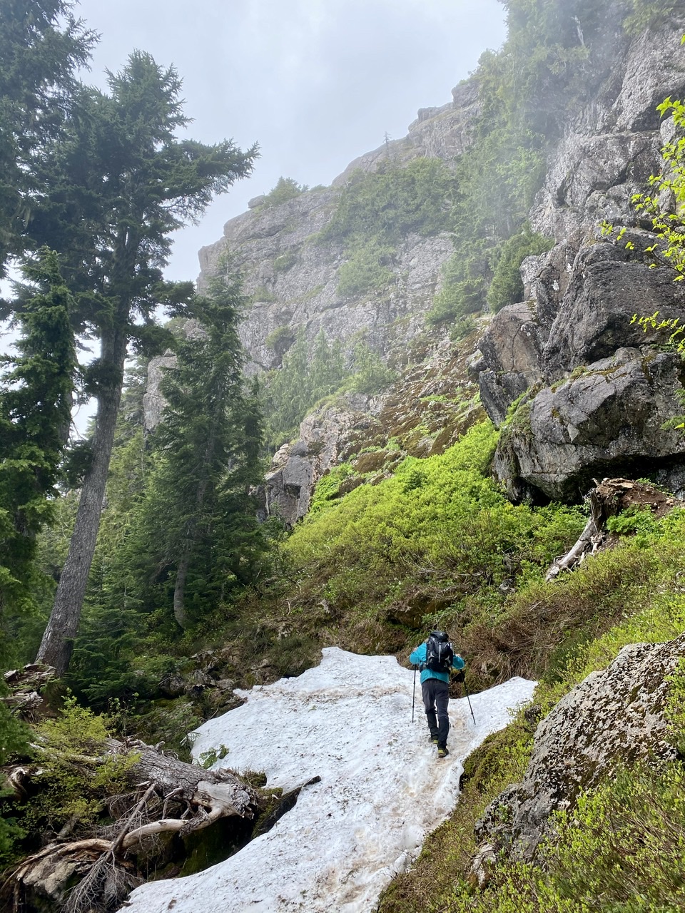 Pete's Creek - Colonel Bob Peak — Washington Trails Association