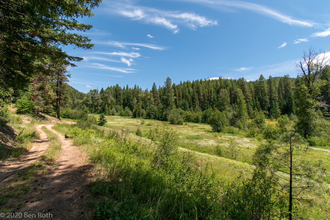 Indian Creek -Teanaway — Washington Trails Association