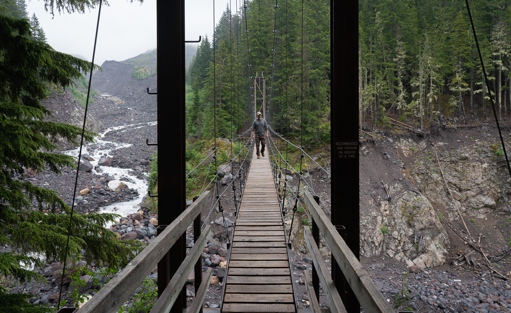 Tahoma Creek Suspension Bridge - Emerald Ridge Loop — Washington Trails Association