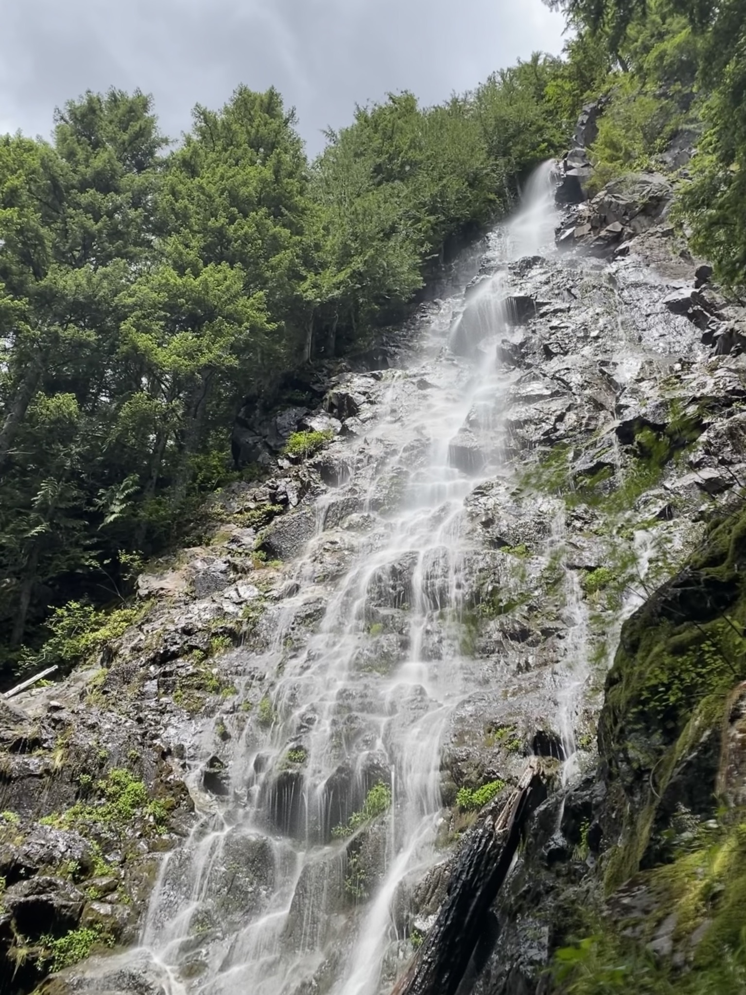 Teneriffe Falls, Mount Teneriffe — Washington Trails Association