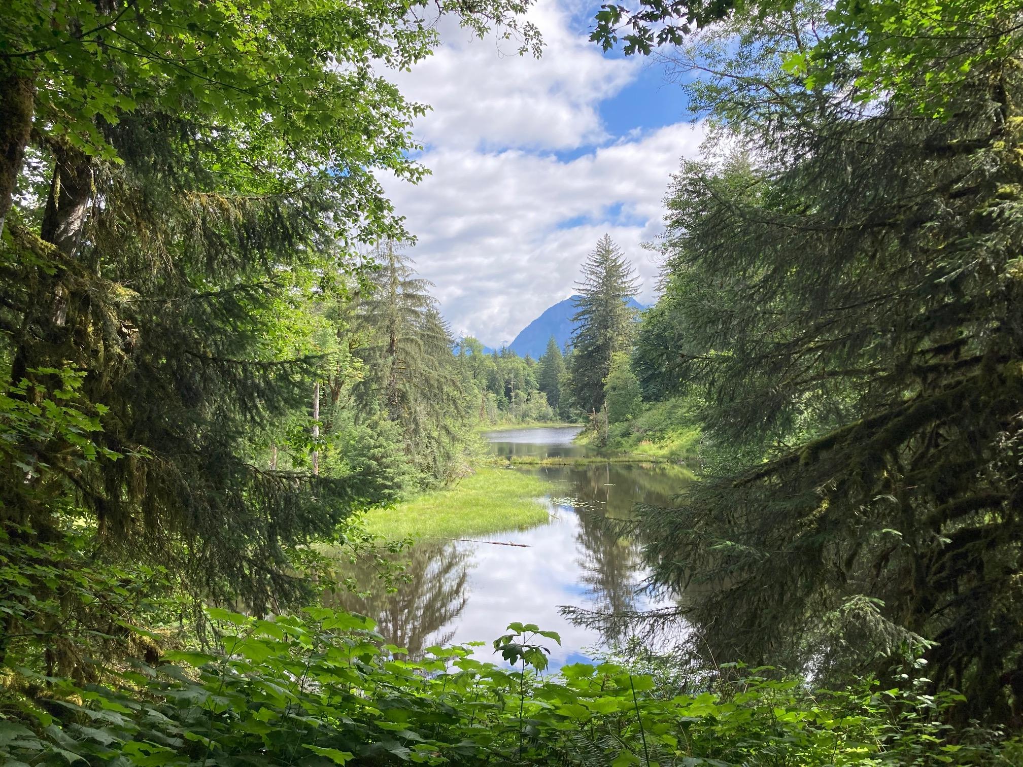Oxbow Loop Trail — Washington Trails Association