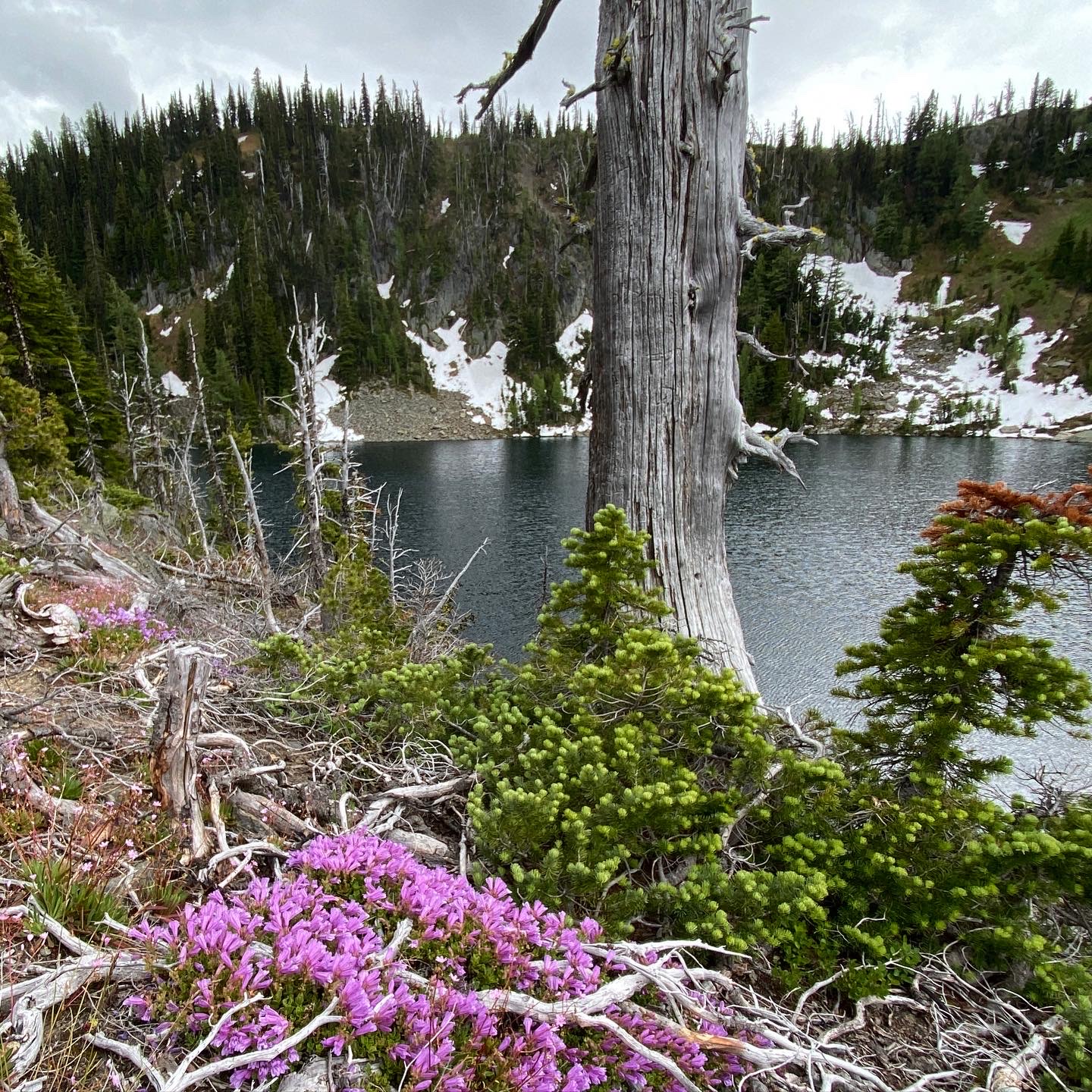 Lake Julius and Loch Eileen, Lake Ethel, Lake Donald — Washington ...