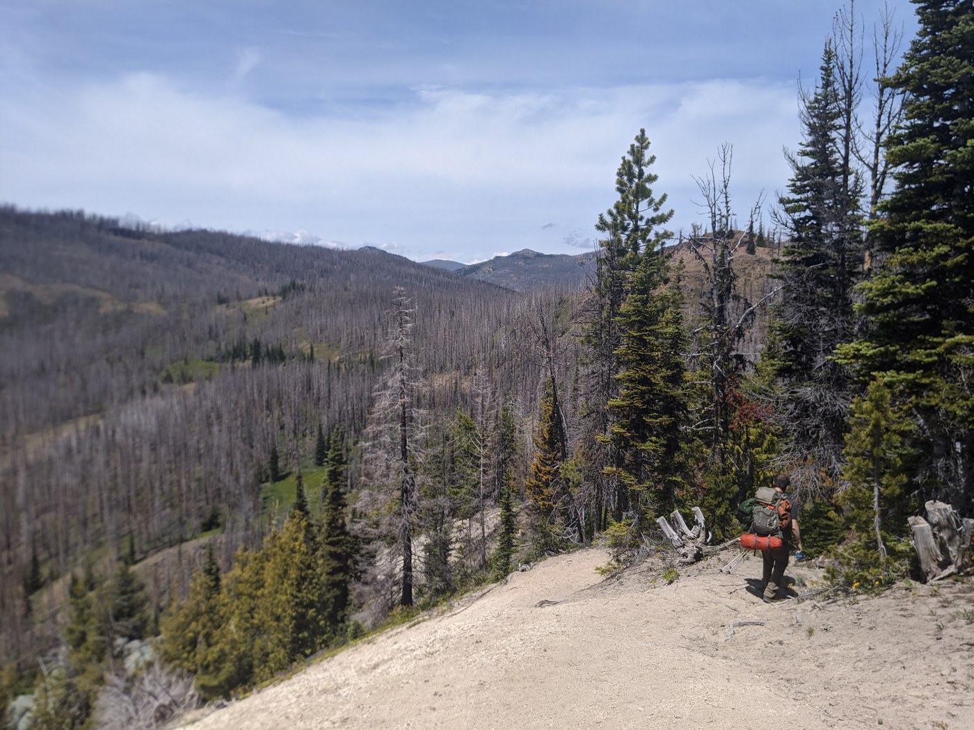 Crow Lake Way — Washington Trails Association