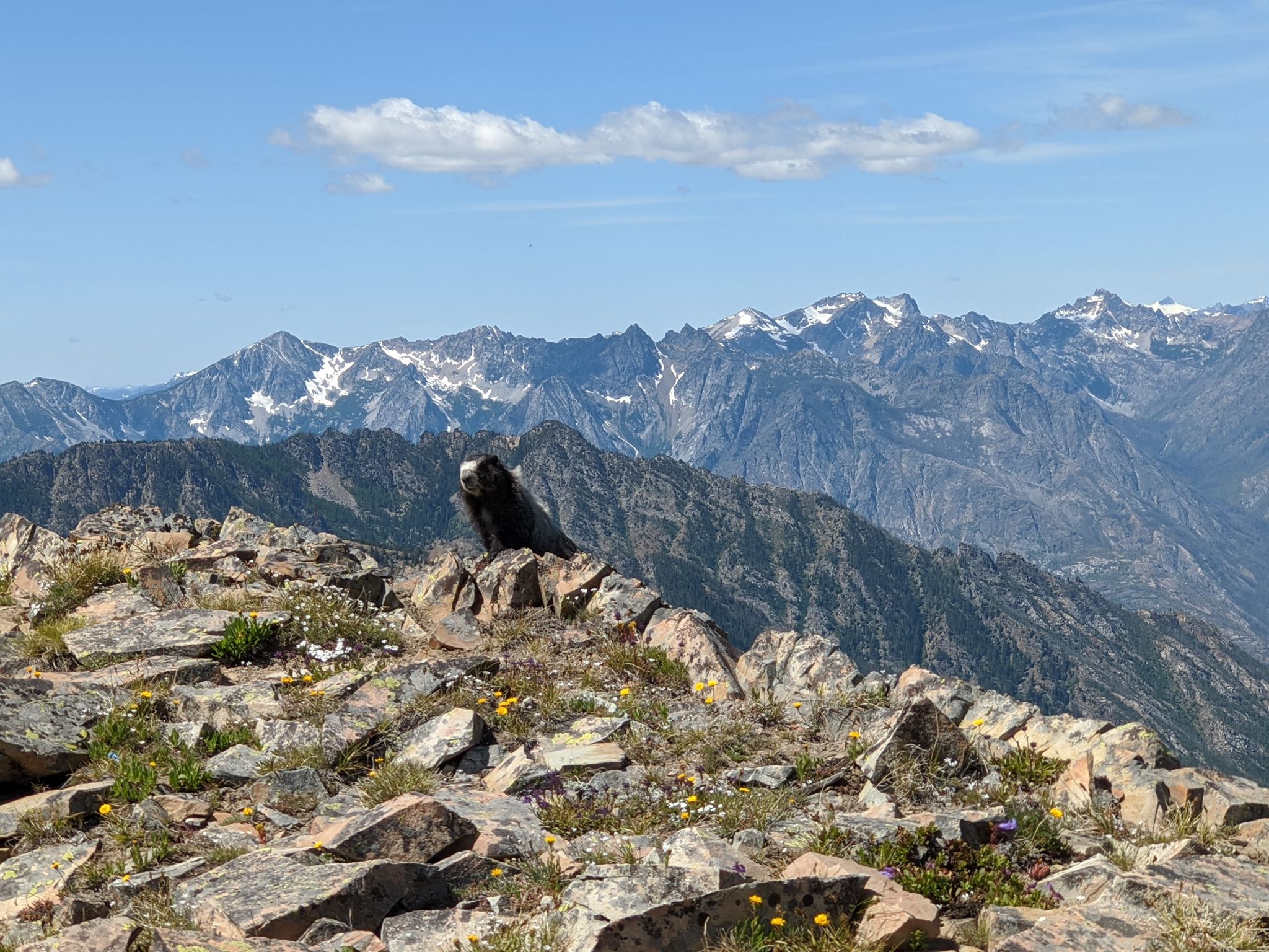 Sawtooth Lakes Loop — Washington Trails Association