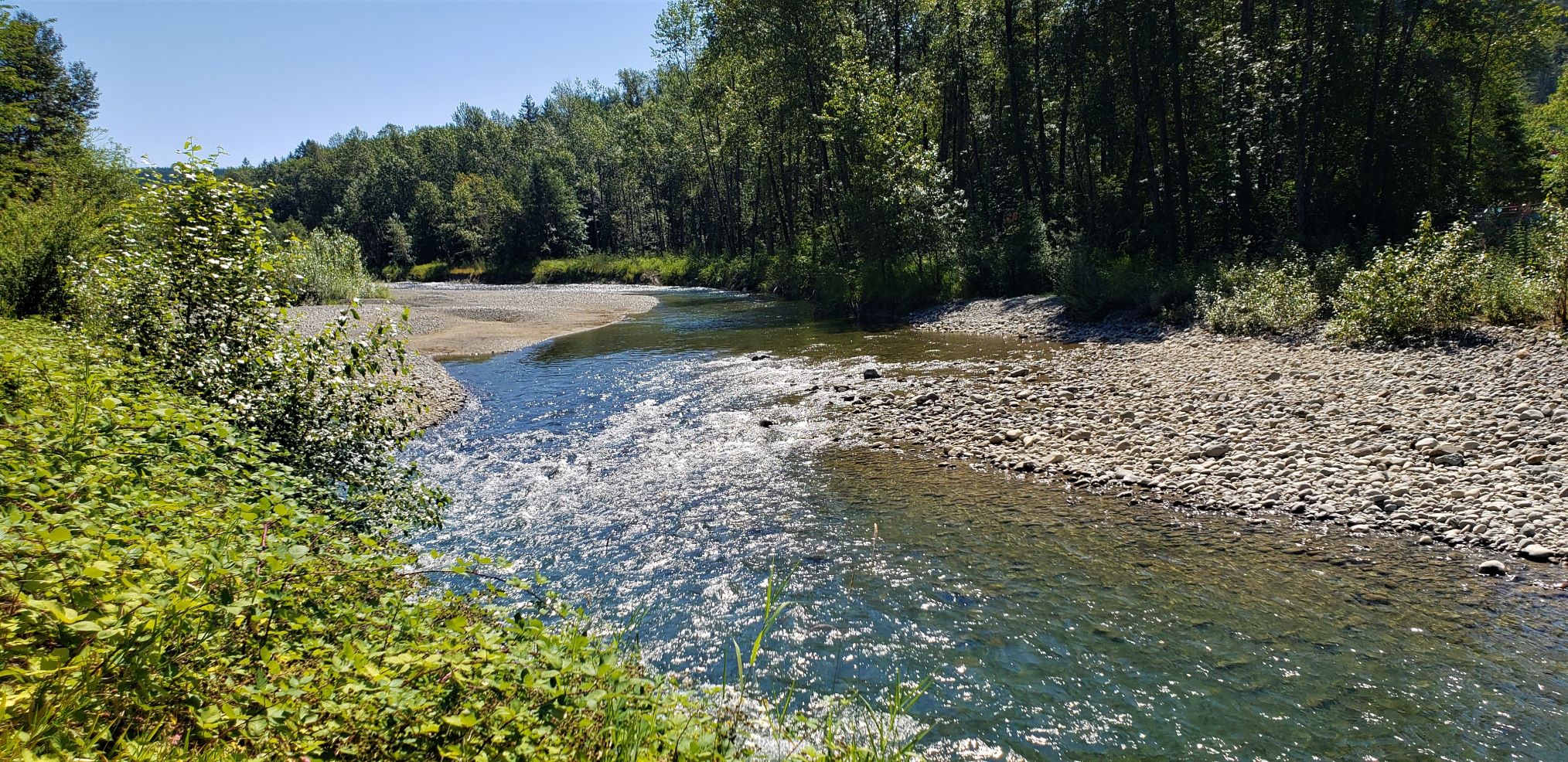 Tolt-MacDonald Park — Washington Trails Association
