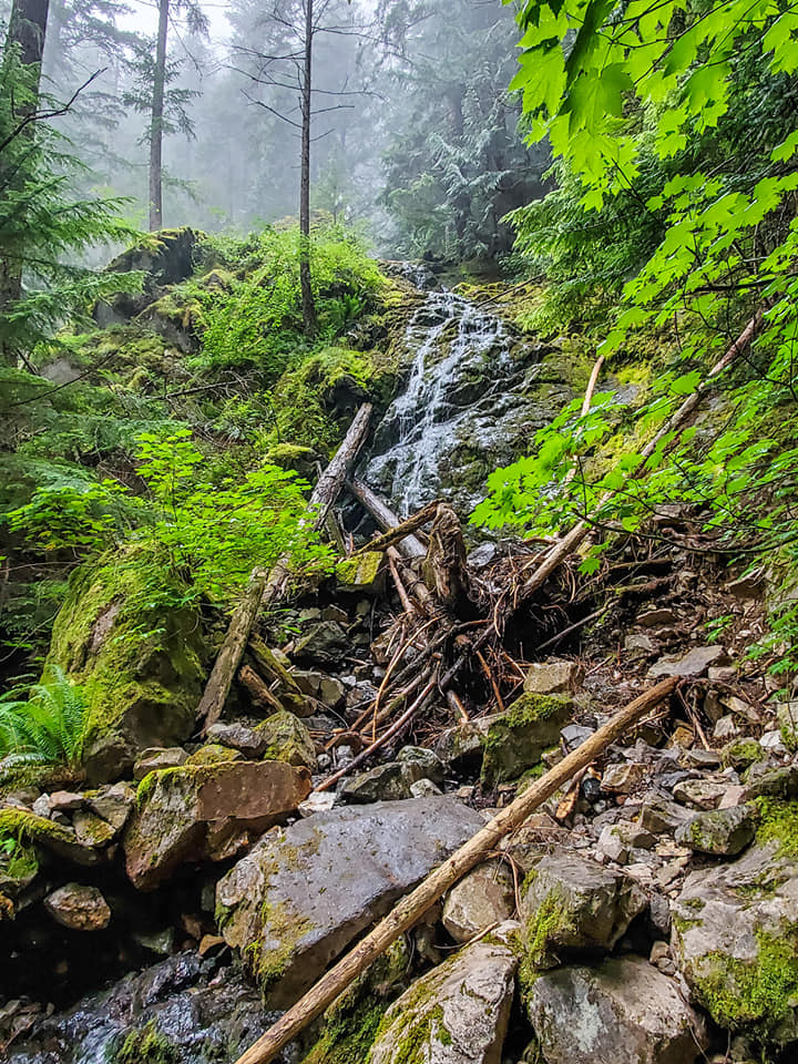 Teneriffe Falls — Washington Trails Association