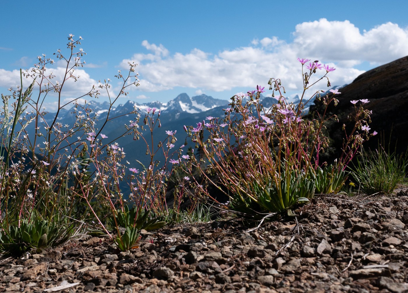 Crater Mountain, Ruby Creek, Jackita Ridge — Washington Trails Association