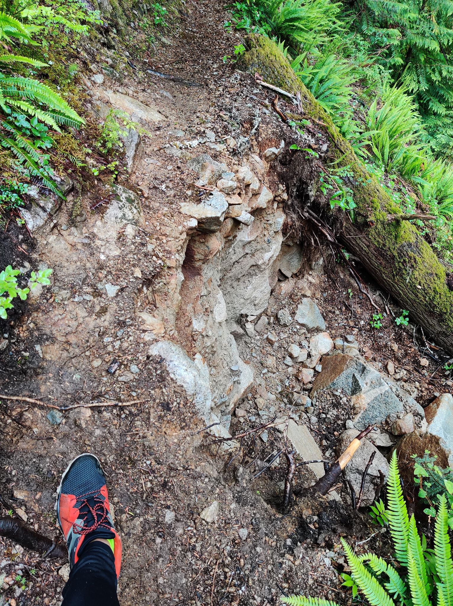 Dingford Creek-Myrtle Lake, Dingford Creek-Hester Lake — Washington ...