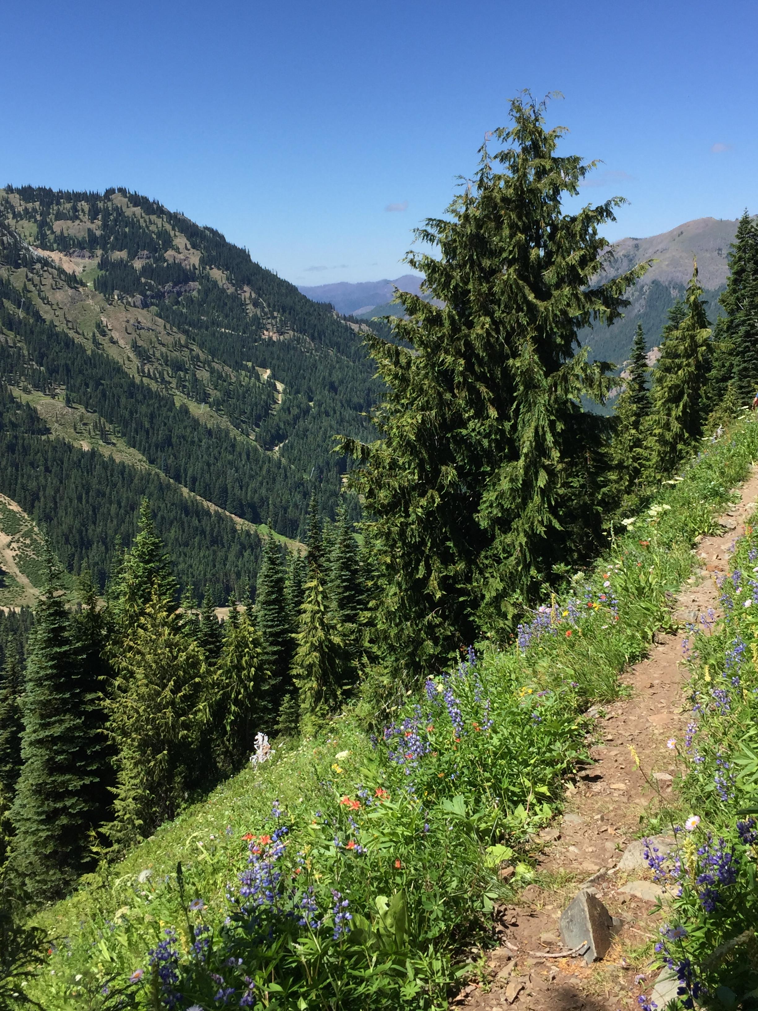 Crystal Mountain Loop (Silver King), Henskin Lake, Silver Creek ...