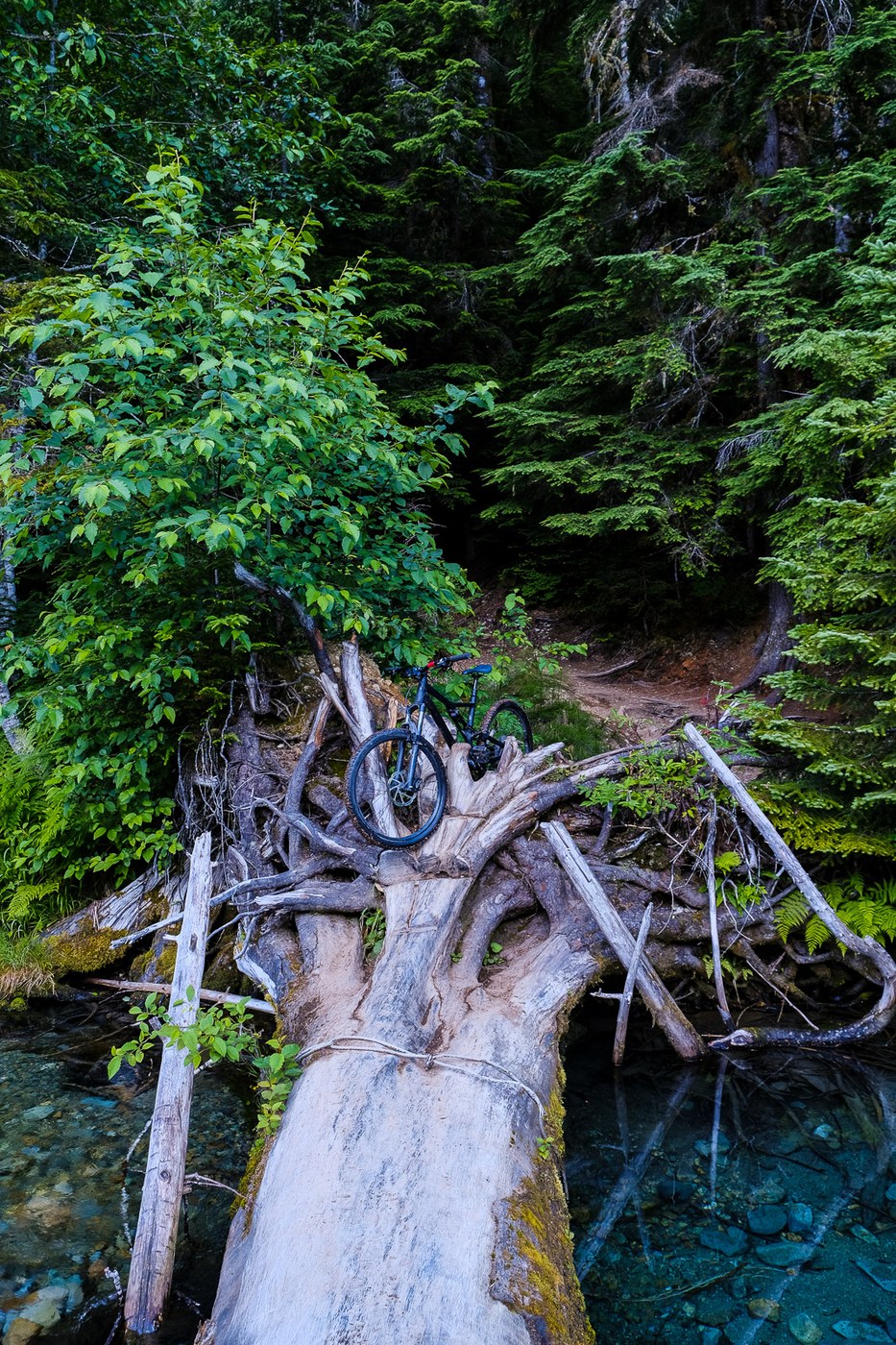 Monte Cristo Ghost Town, Glacier Basin — Washington Trails Association
