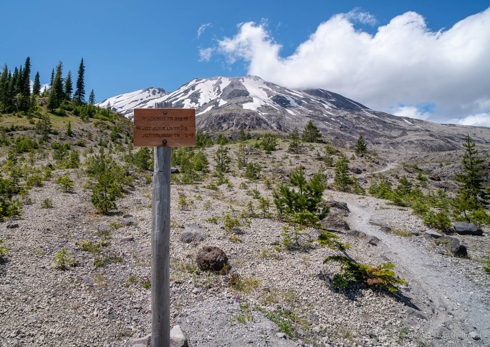 Ape Canyon, Windy Ridge and Plains of Abraham — Washington Trails ...