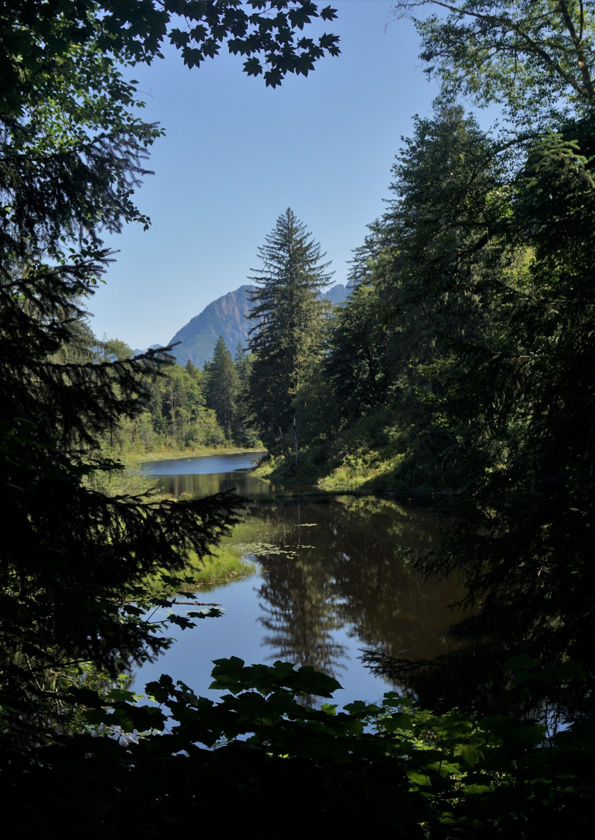 Oxbow Loop Trail — Washington Trails Association