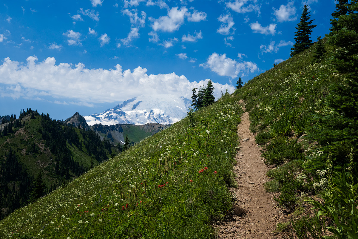 Crystal Mountain Loop (Silver King), Bullion Basin, Pickhandle Gap Loop ...
