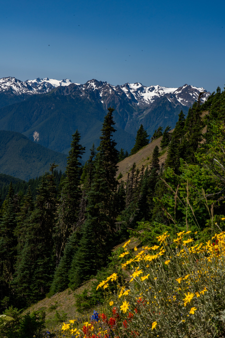 Badger Valley — Washington Trails Association