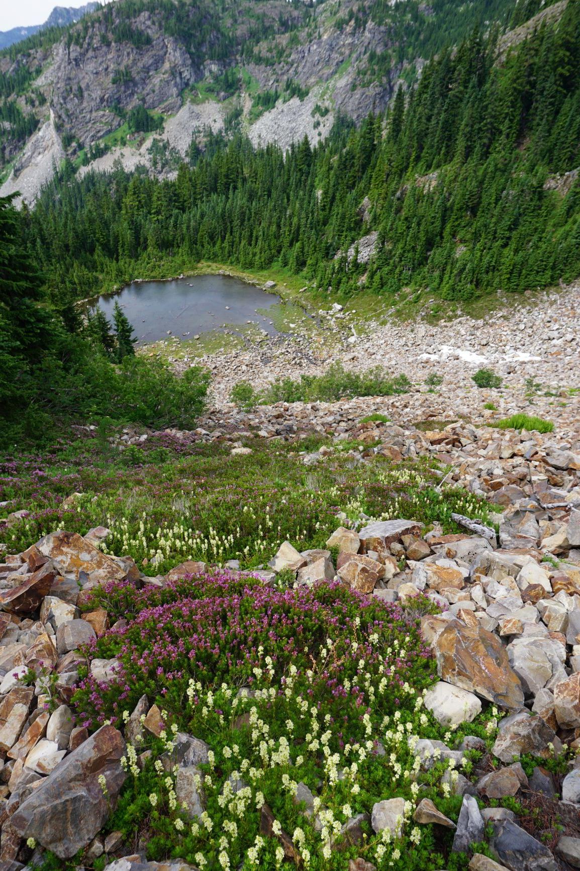 Red Pass, Lundin Peak, Red Mountain (Commonwealth Basin) — Washington ...