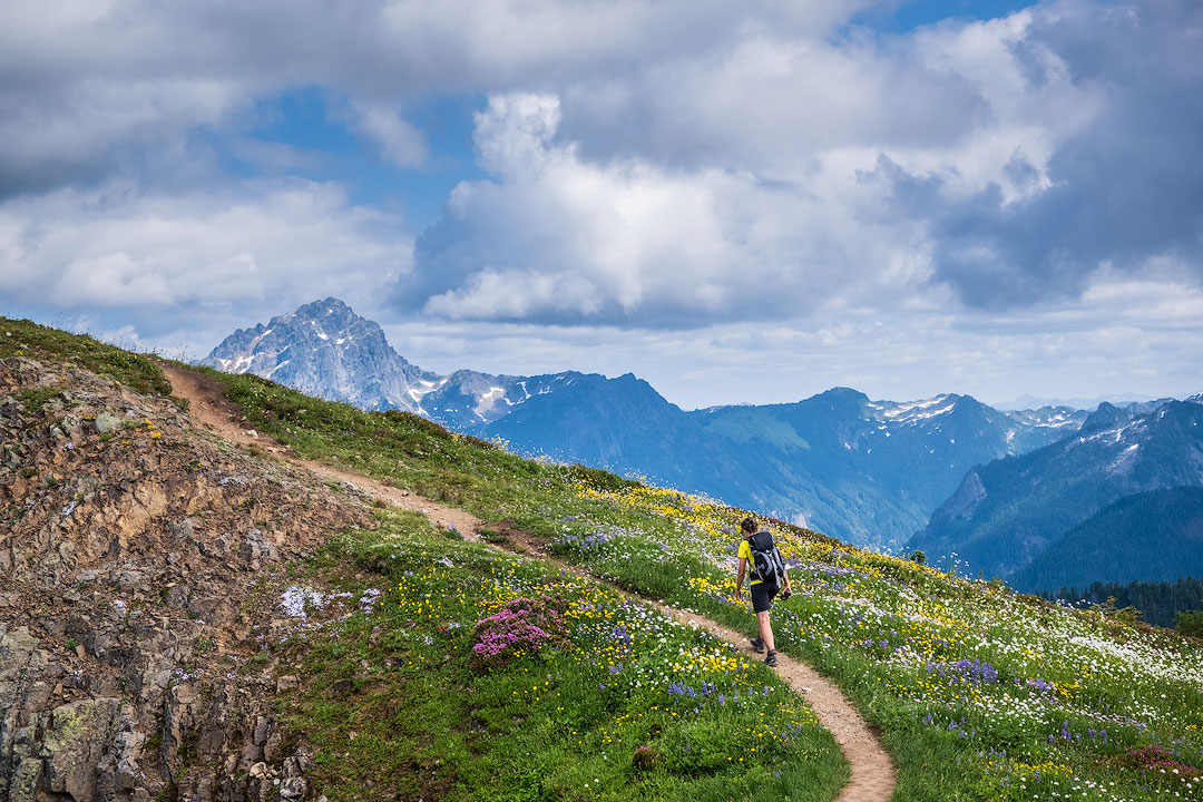 Mount Dickerman — Washington Trails Association