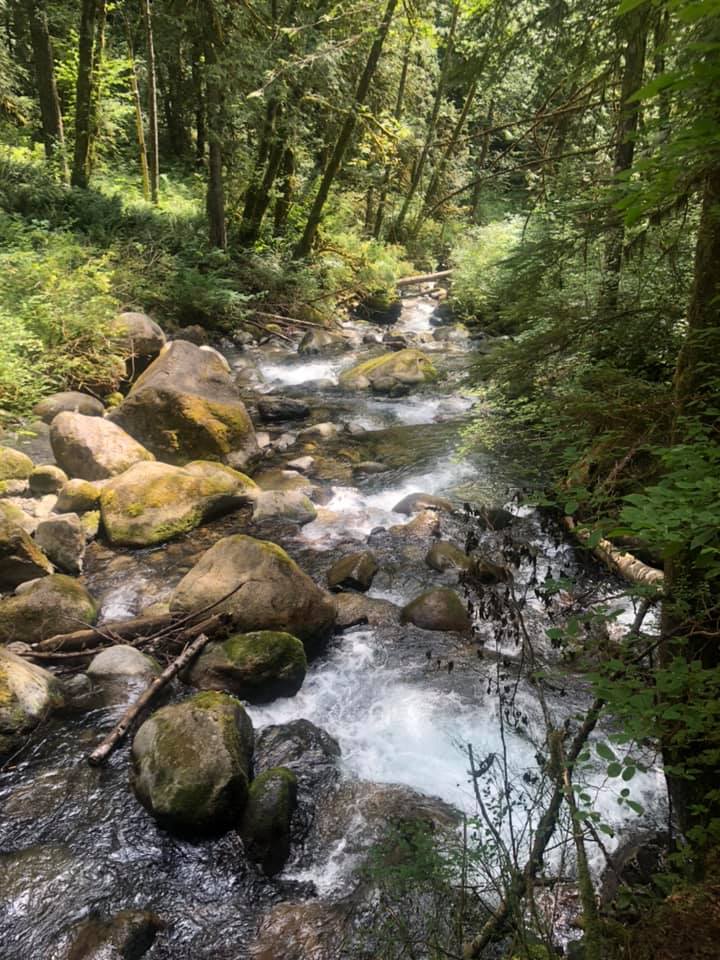 Wallace Falls - Lake Loop — Washington Trails Association