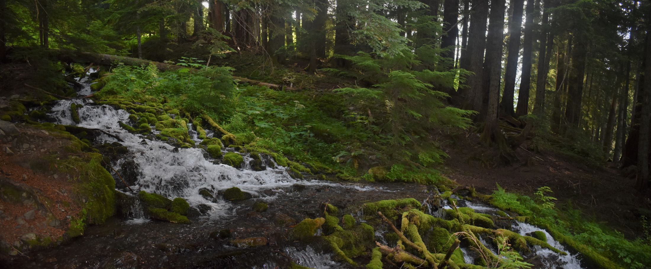 Appleton Pass — Washington Trails Association