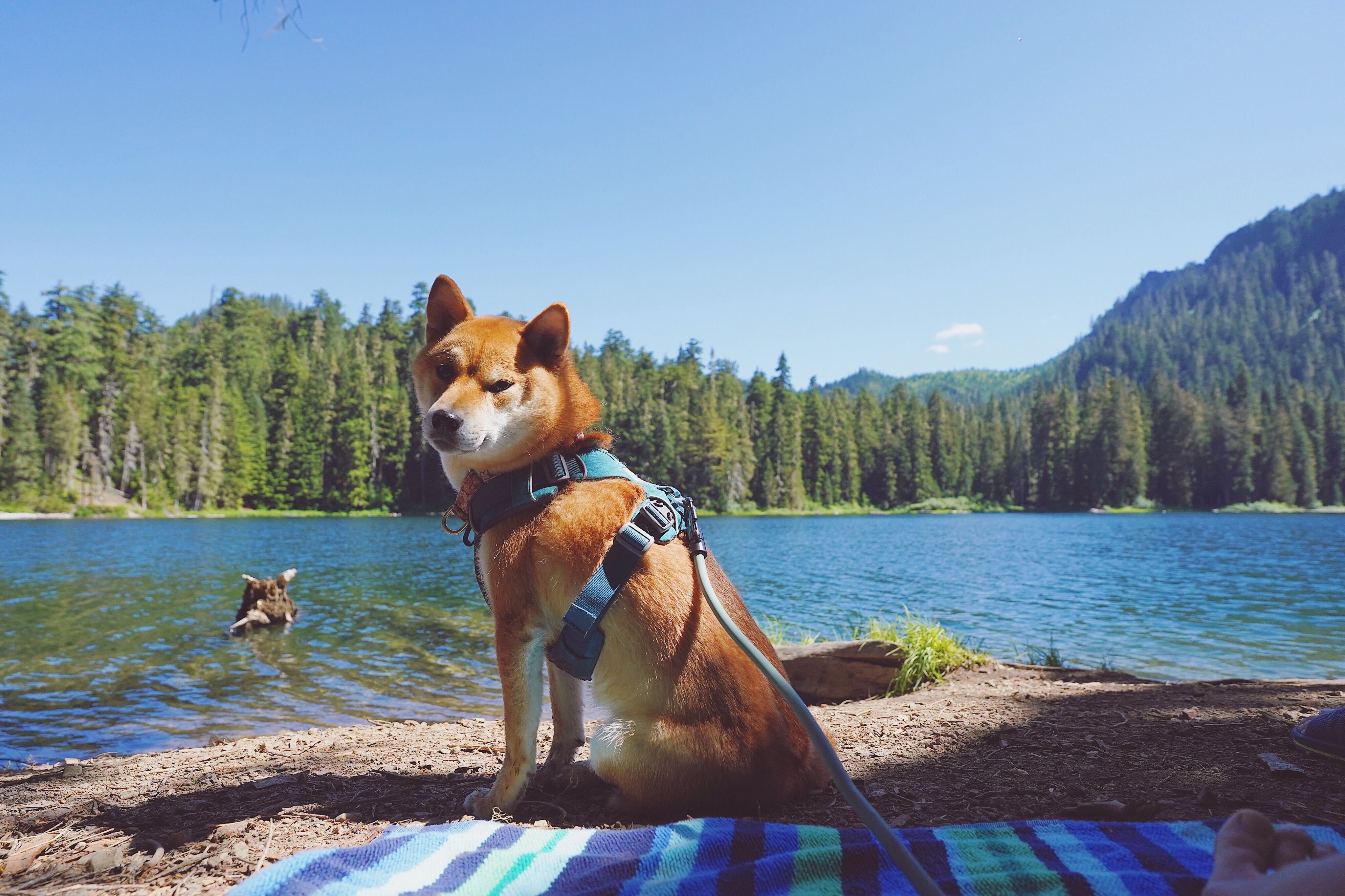 Cora Lake — Washington Trails Association