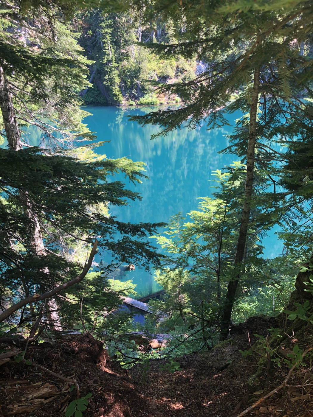 Independence and North Lakes, Coal Lake, Pass Lake — Washington Trails ...