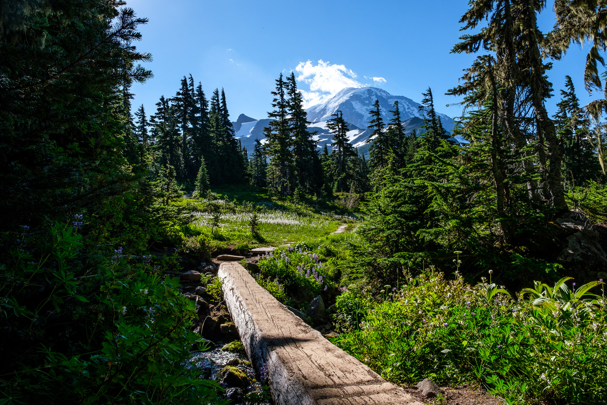 Spray Park Loop — Washington Trails Association
