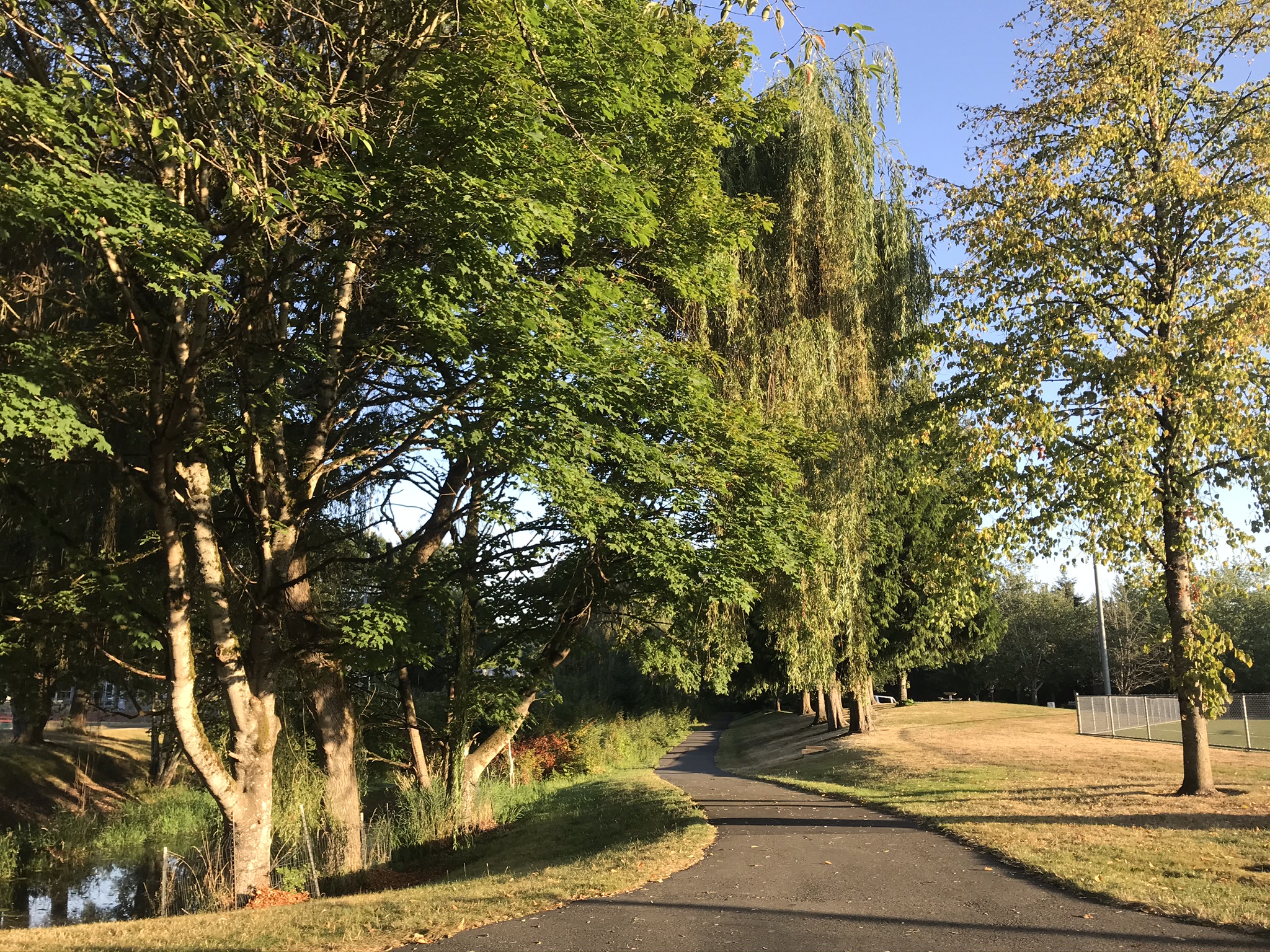 North Creek Trail — Washington Trails Association