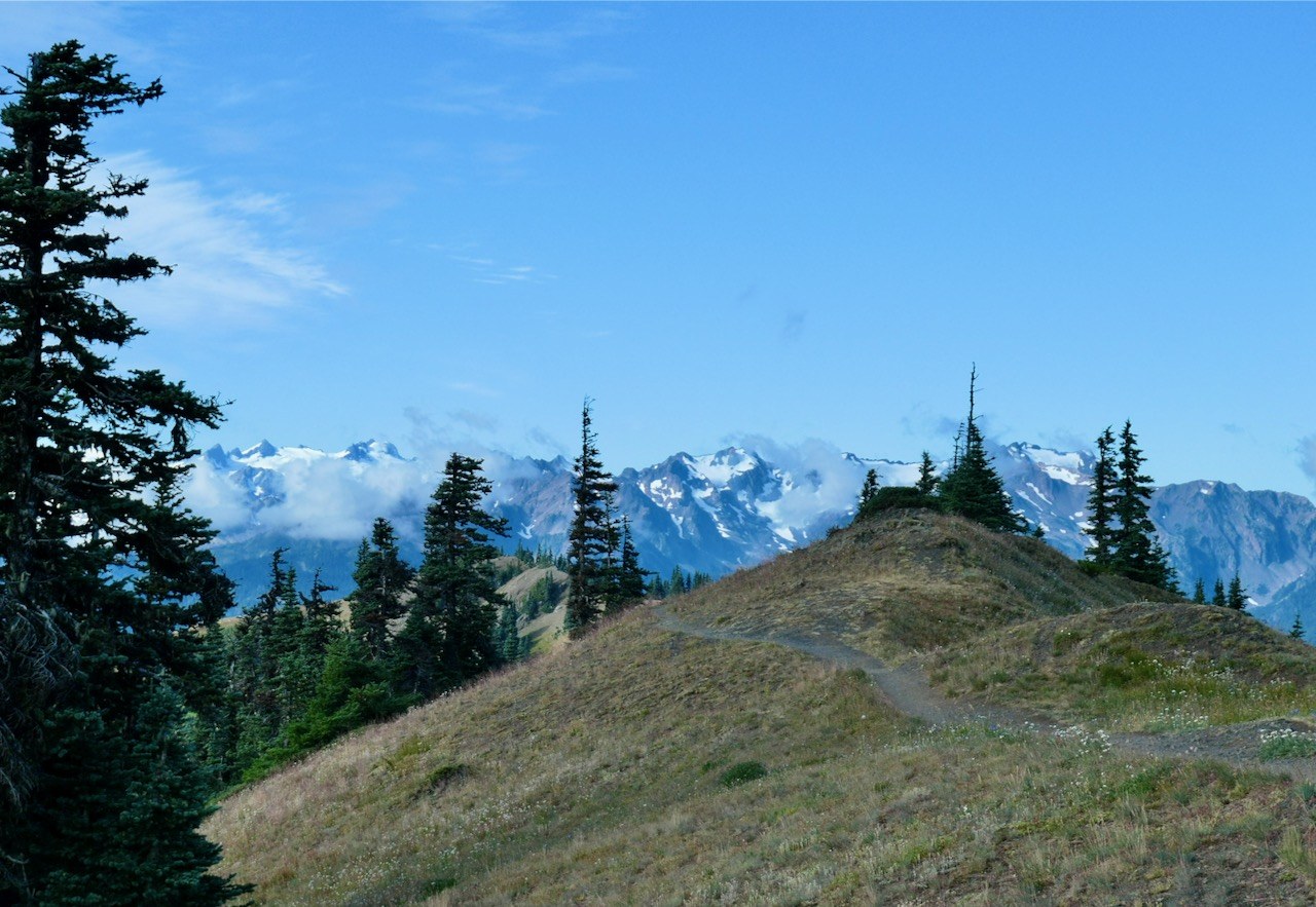 Klahhane Ridge — Washington Trails Association