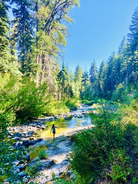 Middle Fork Teanaway River — Washington Trails Association