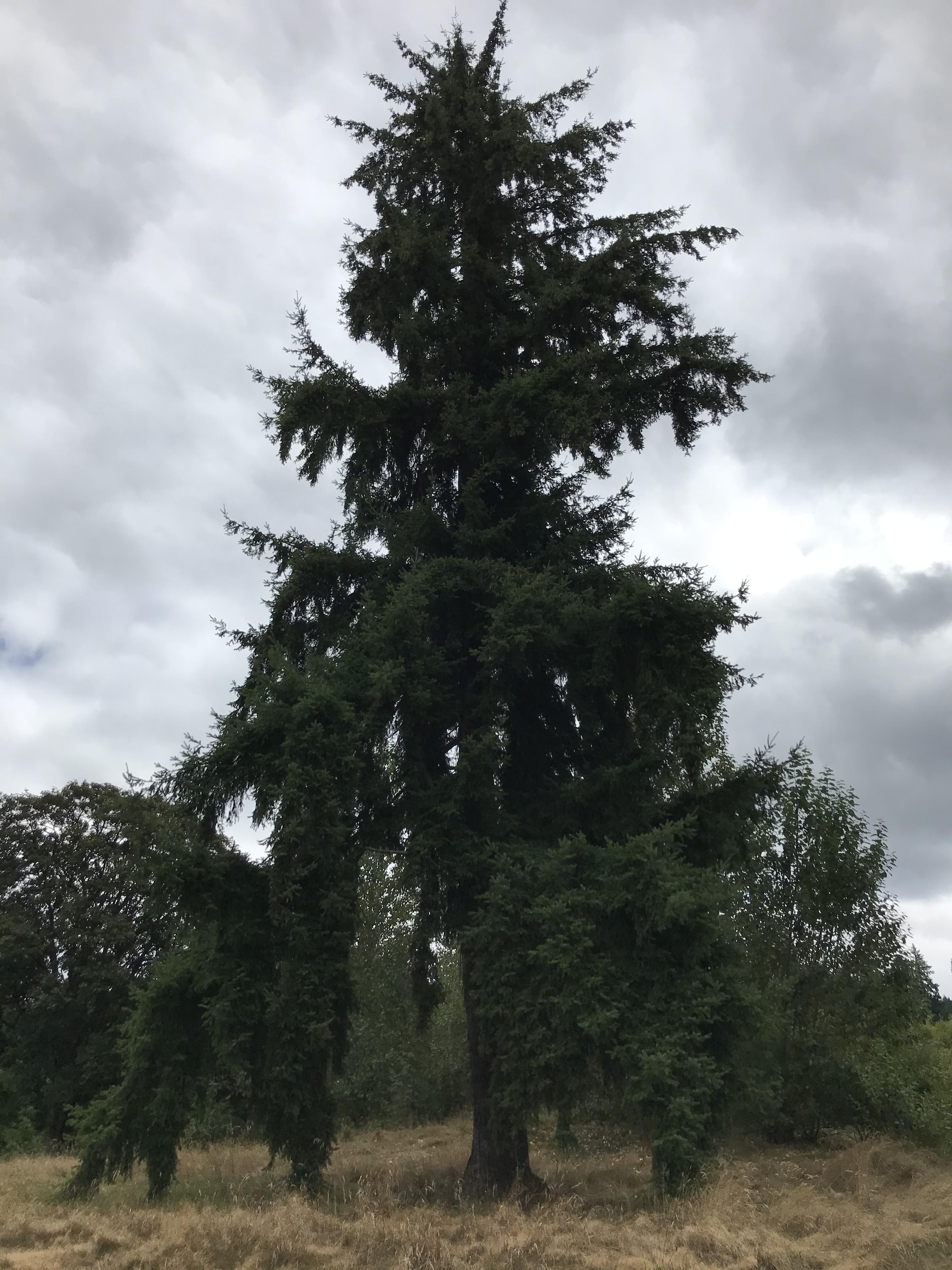 Brightwater Center — Washington Trails Association