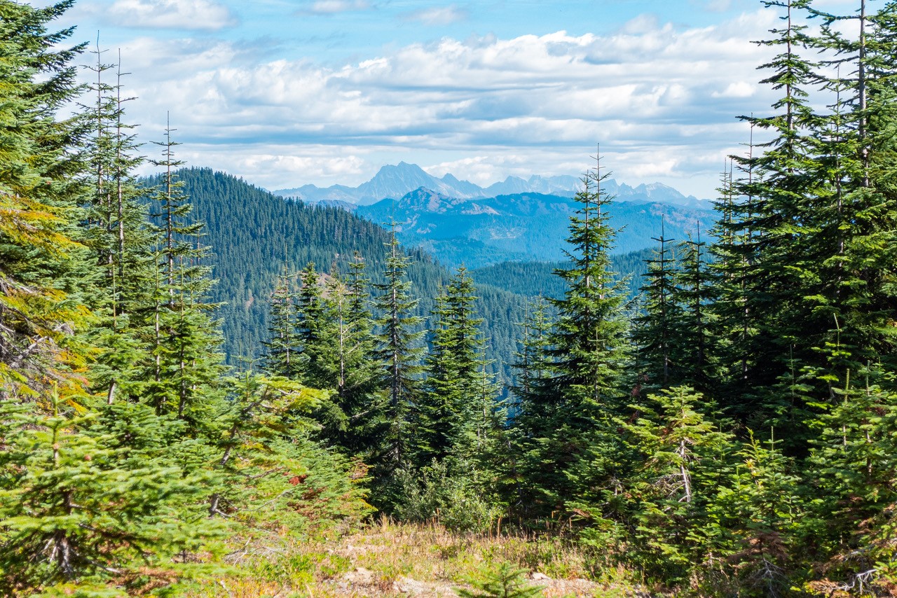 Pacific Crest Trail (PCT) - Stampede Pass to Tacoma Pass — Washington ...