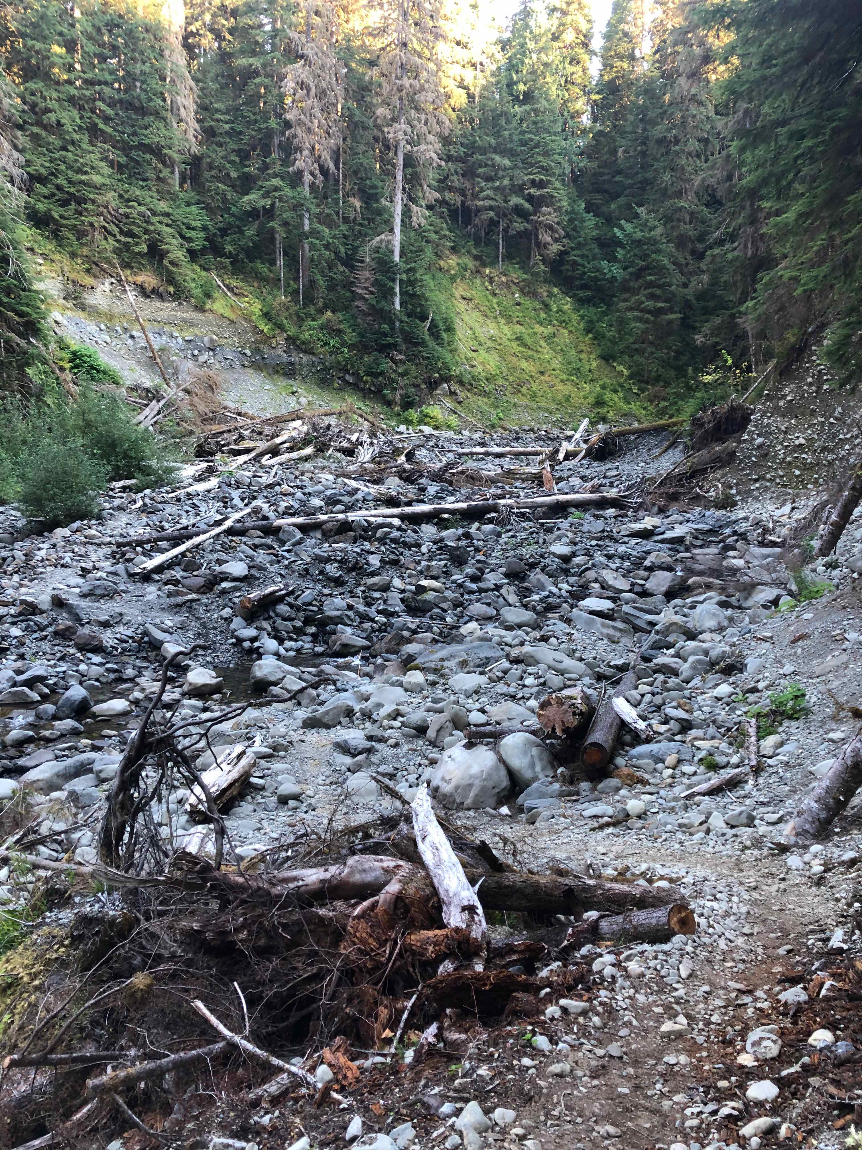 Elip Creek, Skyline, Three Lakes — Washington Trails Association