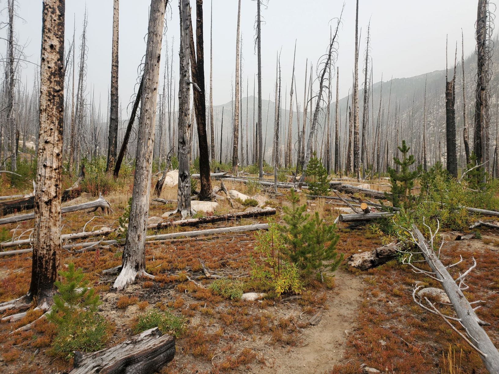 Windy Peak — Washington Trails Association