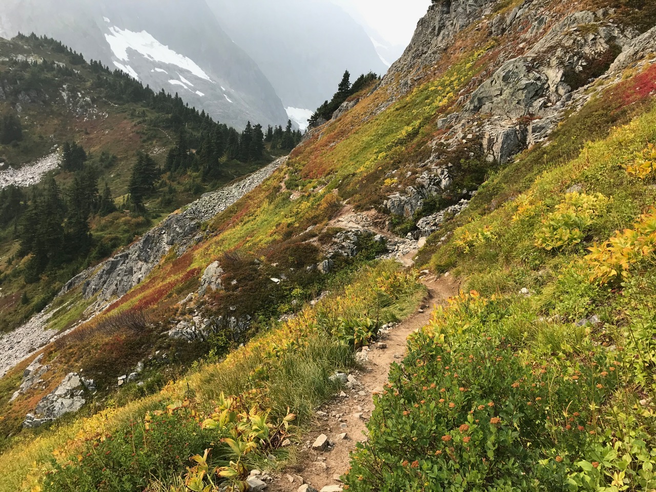Cascade Pass and Sahale Arm — Washington Trails Association